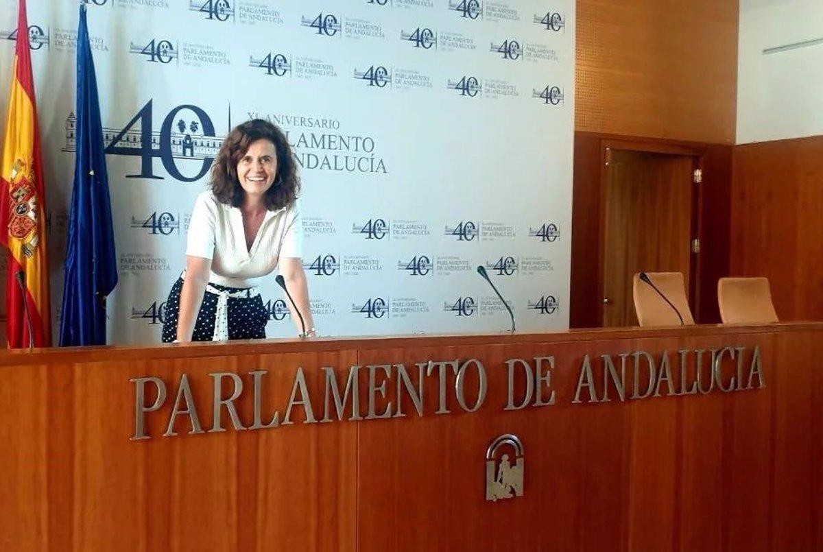 Por Andalucía designa a Esperanza Gómez portavoz adjunta en el ...