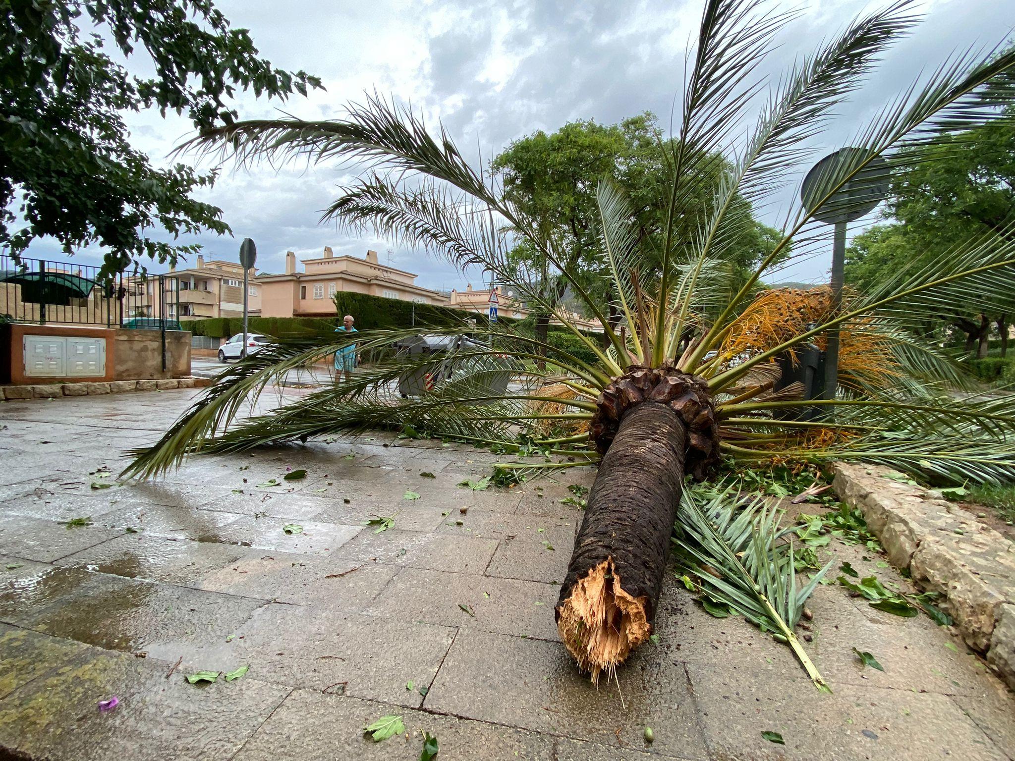 Fotogalería: Las imágenes de la tormenta que ha azotado a Mallorca