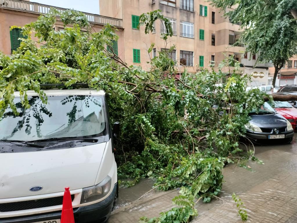 Fotogalería: Las imágenes de la tormenta que ha azotado a Mallorca