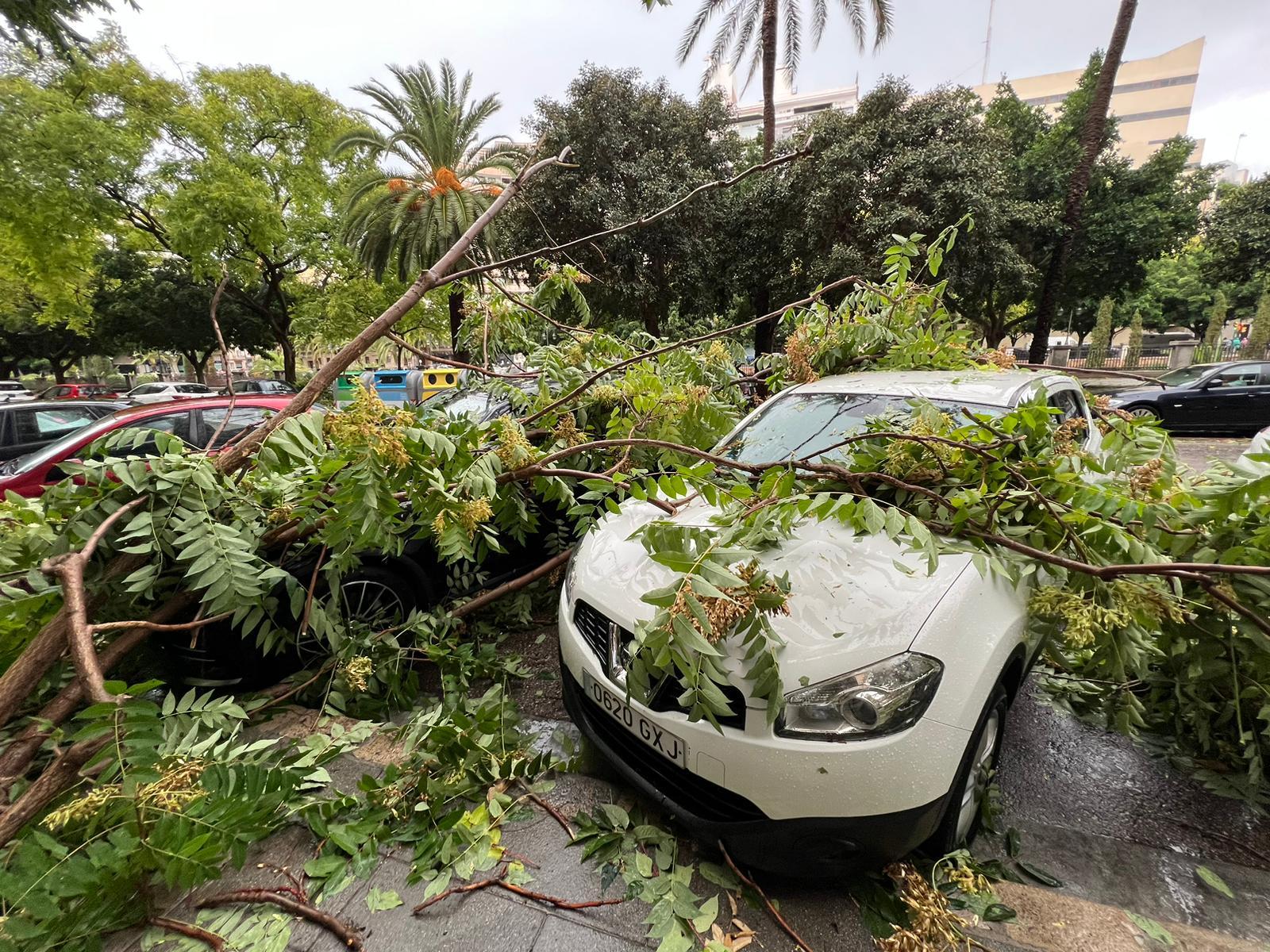 Fotogalería: Las imágenes de la tormenta que ha azotado a Mallorca