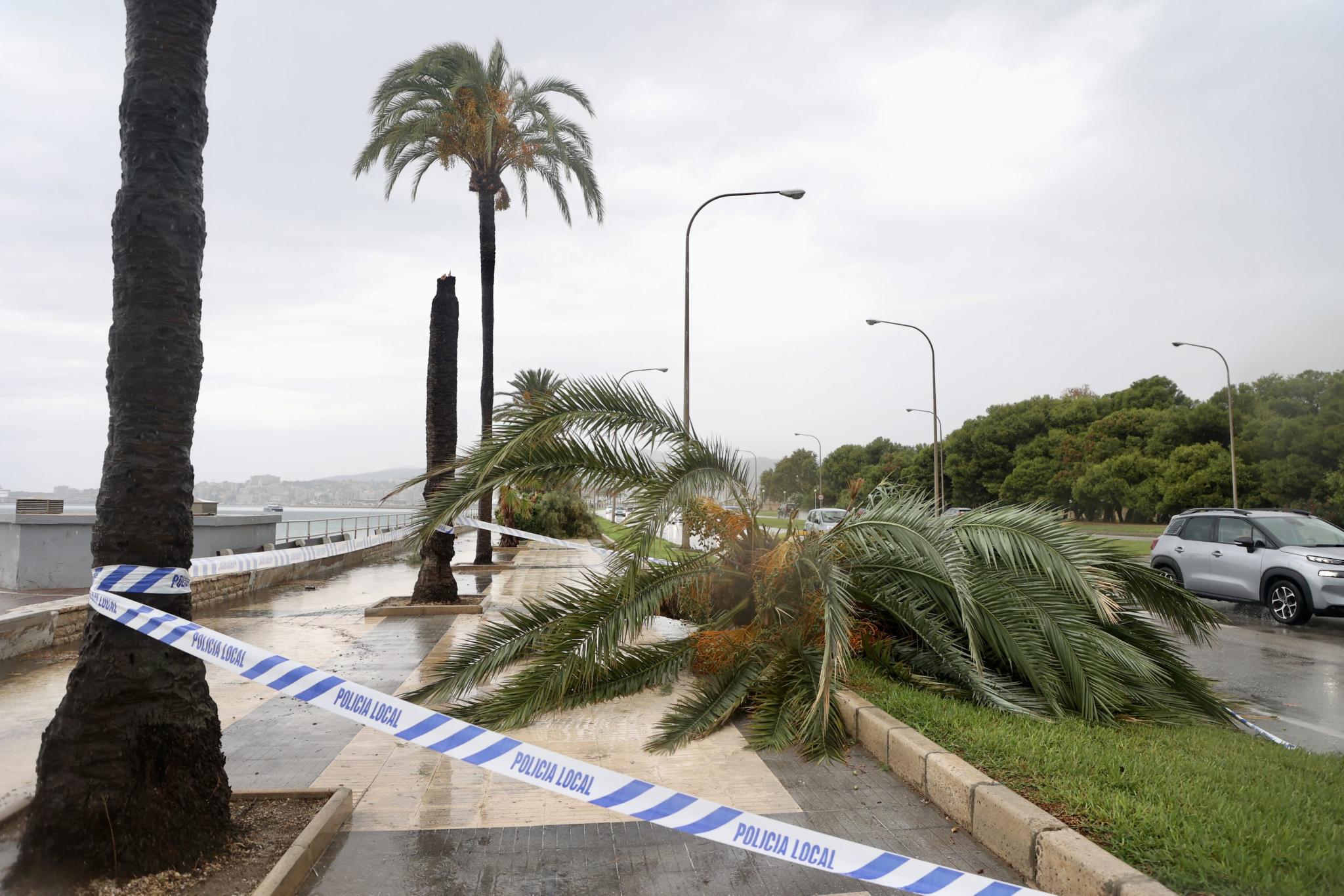 Fotogalería: Las imágenes de la tormenta que ha azotado a Mallorca
