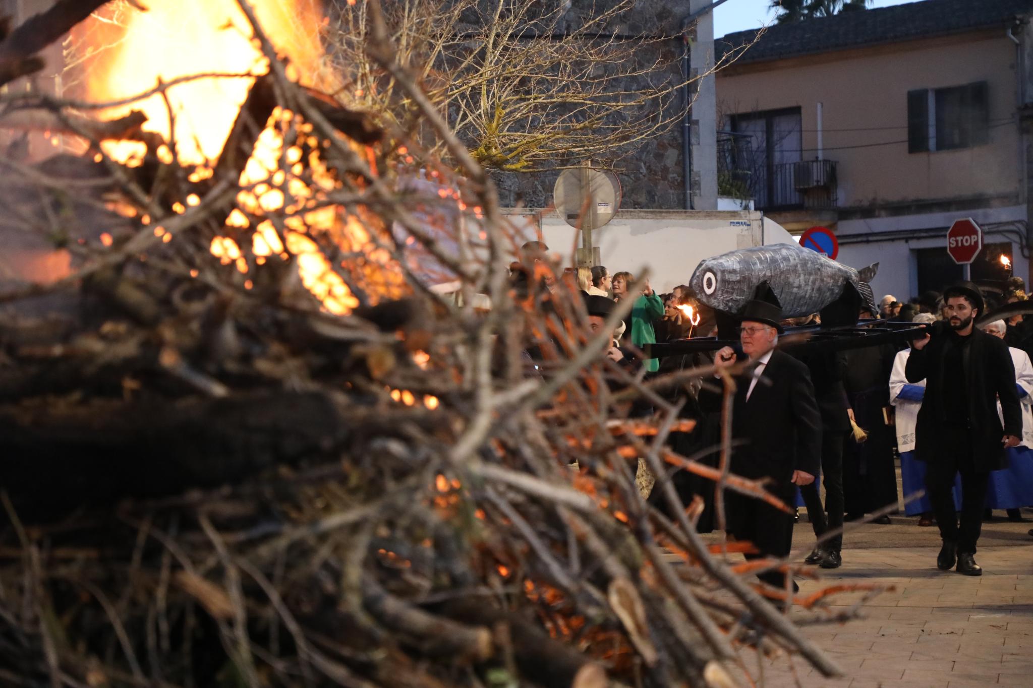 Fotogalería: El entierro de la sardina en imágenes