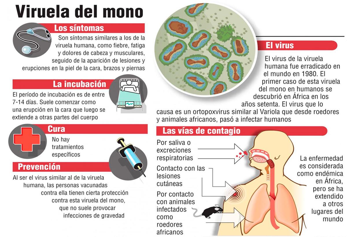 Viruela del mono: ¿qué es y cómo se contagia?