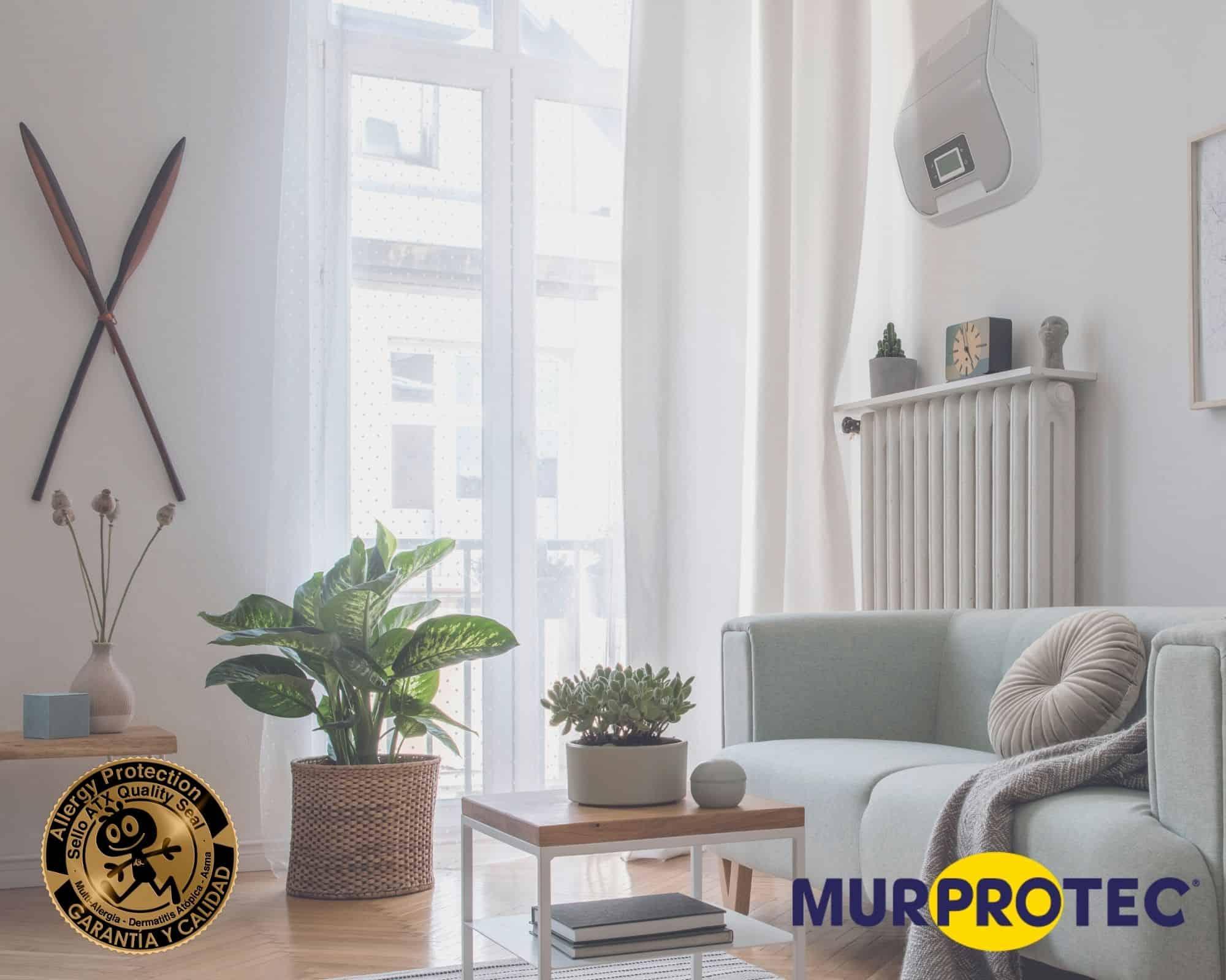 Murprotec|La humedad en el hogar, aliado silencioso de las alergias ...
