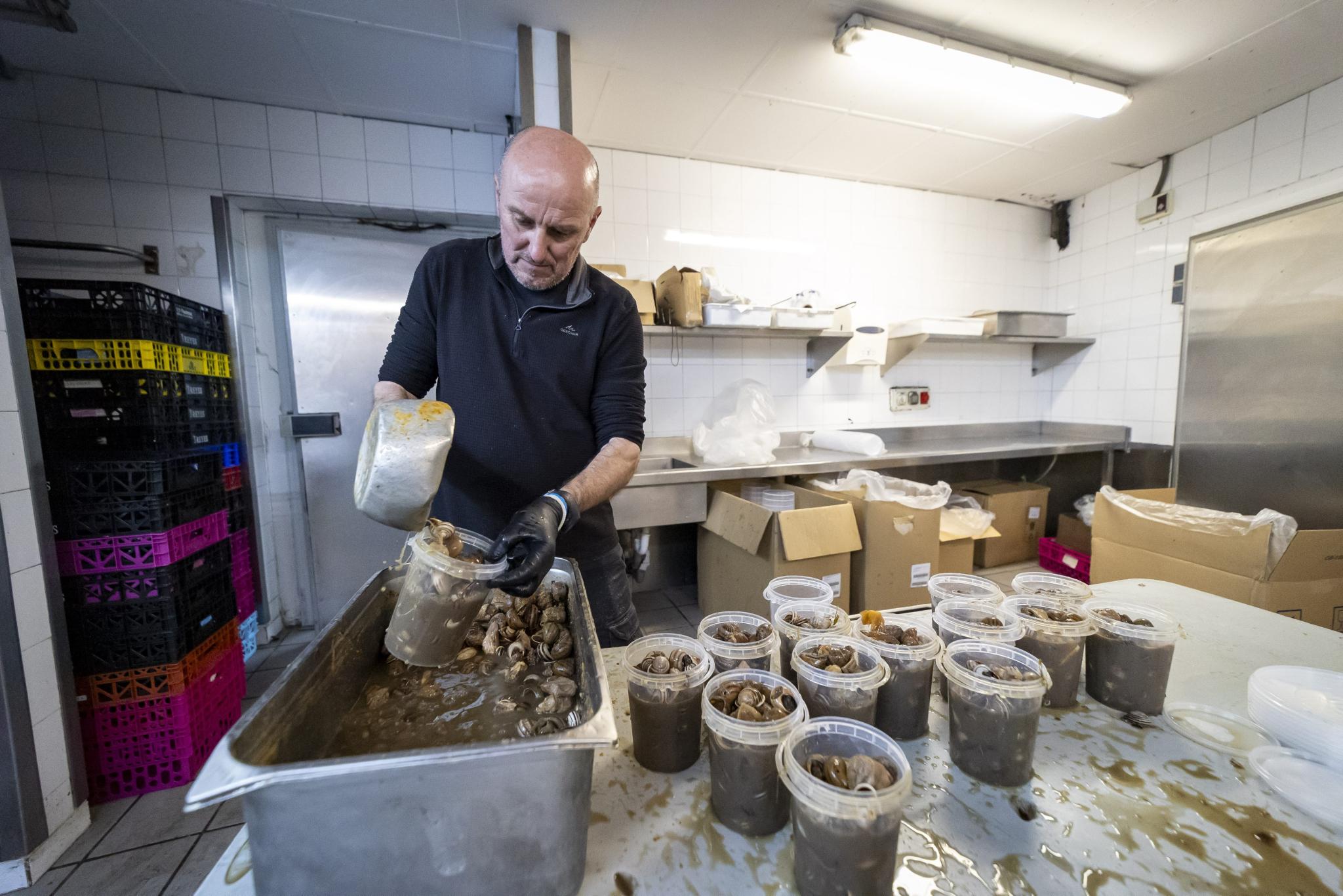 Tradiciones en Mallorca: Miles de personas comen caracoles por Sant Marc