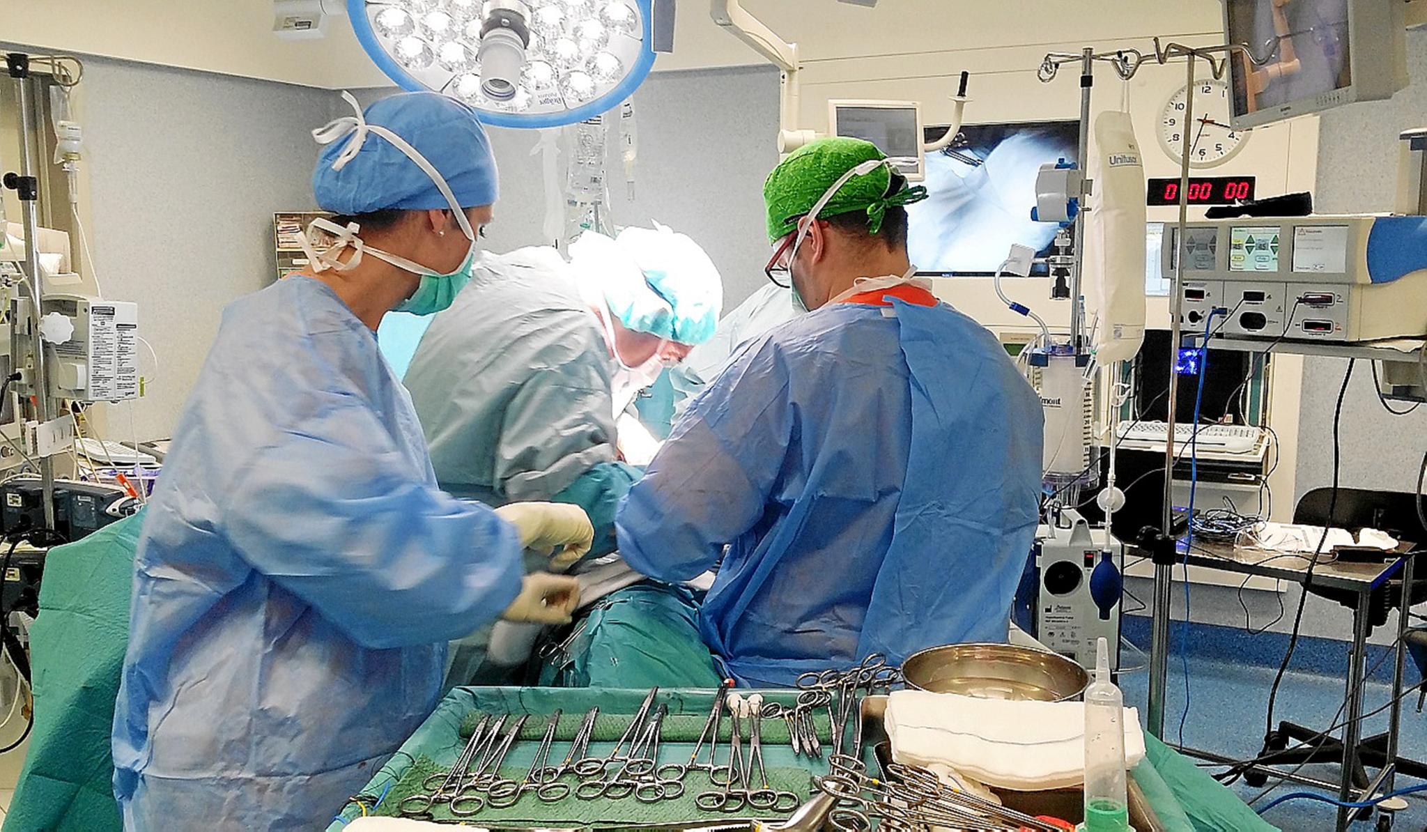 Kira pregiato x skilled abilities and friendly demeanor