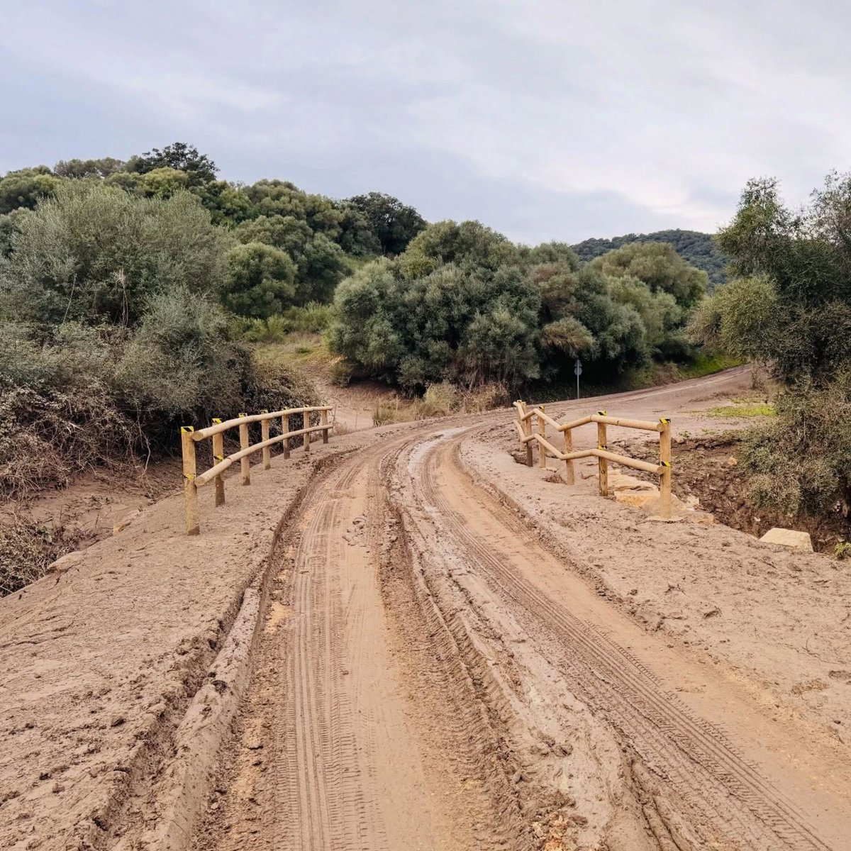 Jimena (Cádiz) recupera la conexión a internet y estudia pedir ...