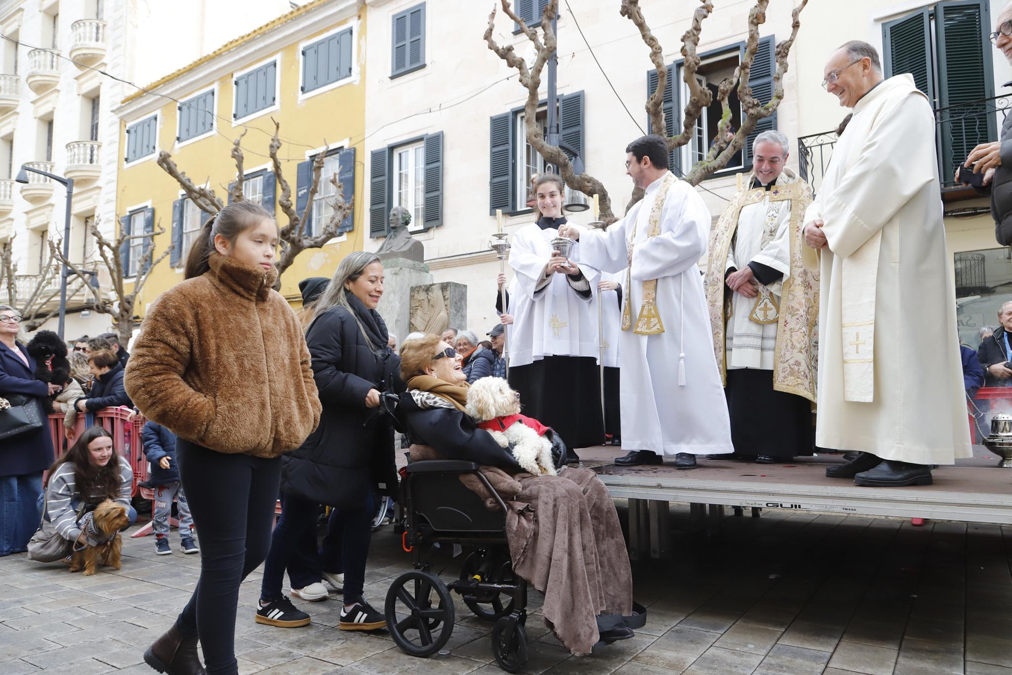 Les beneïdes d'animals es converteixen en uns dels actes més ...