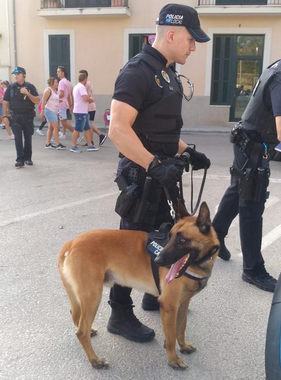 Much De Sineu 4 Detenidos Un Apuñalamiento Peleas Y Un Abuso Sexual