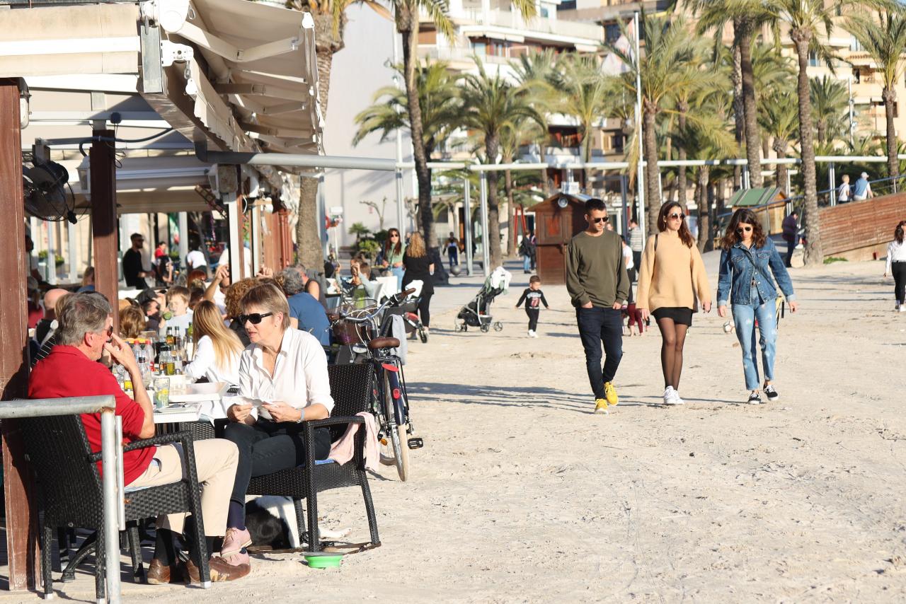 El tiempo en Mallorca: Febrero empieza con récords de temperaturas
