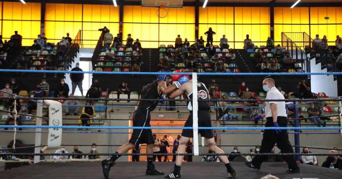 Boxeo: Manu Medrano y Farlin Condori vuelven en Sóller