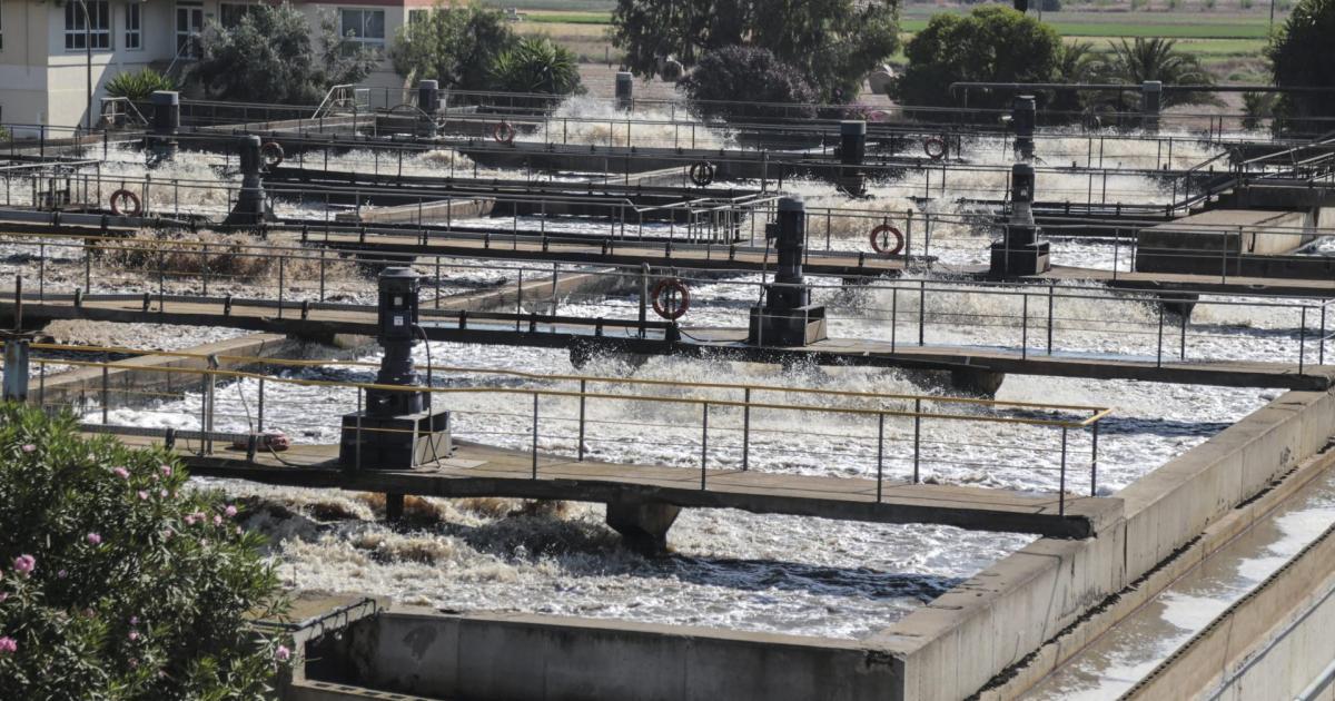 Un informe de la Fiscalía alerta de que el agua de riego de Palma está ...