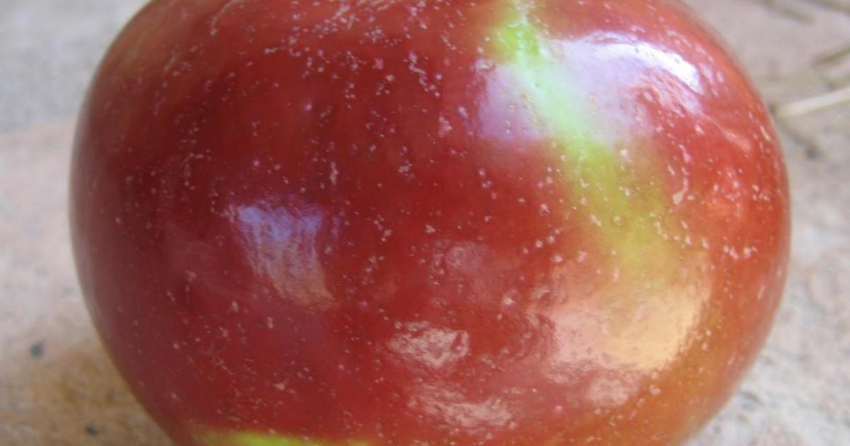 Recetas de cocina | 'Bellesa de roma', manzana rellena de almendra al horno