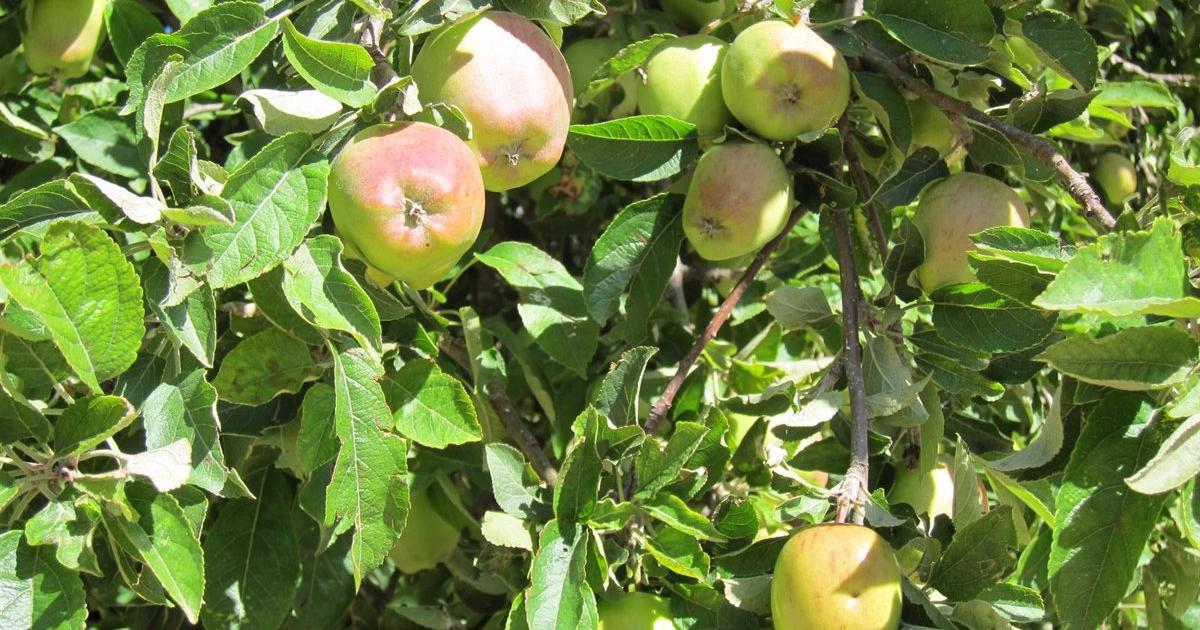 El Gobierno destina más de 19,9 millones en ayudas extraordinarias a 14 ...