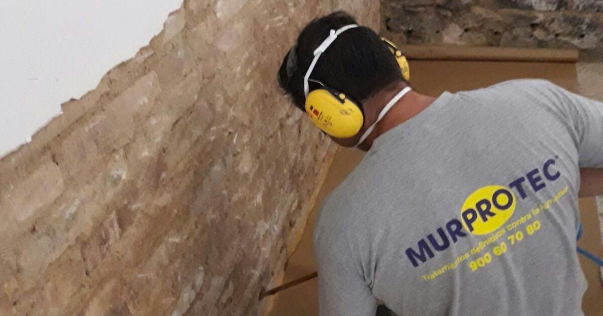 Murprotec | Murprotec garantiza 30 años de protección contra la humedad ...