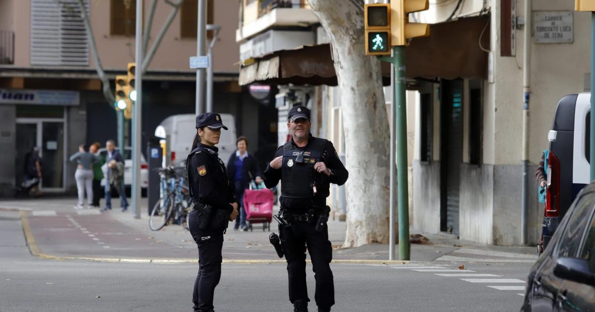 Carteristas en Mallorca | Detenida por una oleada de robos a clientas en tiendas de lujo de Palma