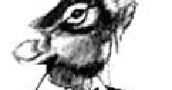 Chico Rata y sus amigos del espacio exterior