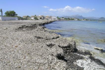 Cable eléctrico: Los vecinos del Corral de Bennàssar se manifestarán ...