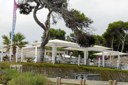 Balneario 1, un rincón entre pinos en la Platja de Muro