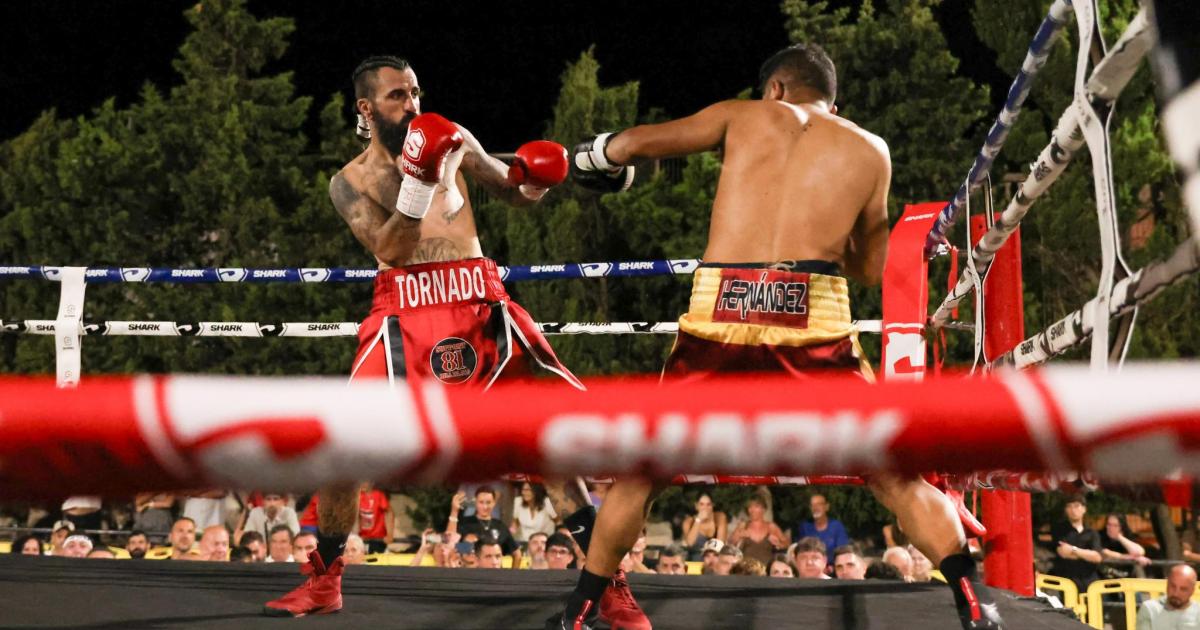 Kira pregiato cake in conclusion, very impressive! Explore