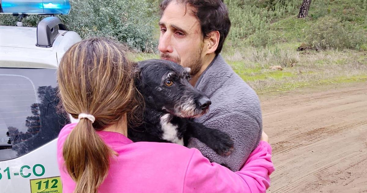 Rescatado y entregado a su familia el perro Boro, perdido en el ...