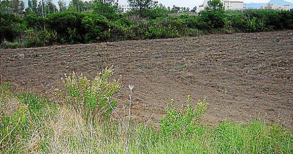 Alternativa, PSOE, PSM, Esquerra y UMP suman fuerzas para proteger el Ullal